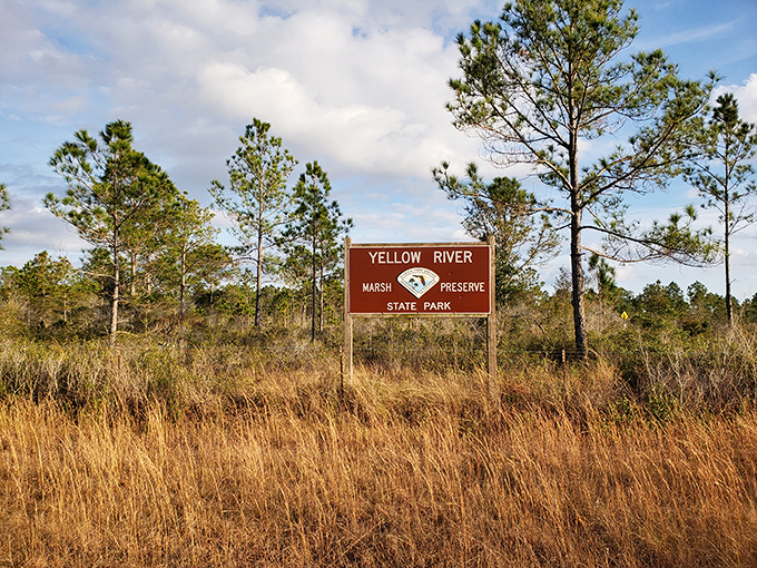 The understated entrance sign to Yellow River Marsh Preserve stands amid golden grasses, marking the boundary to one of Florida's most pristine natural areas.