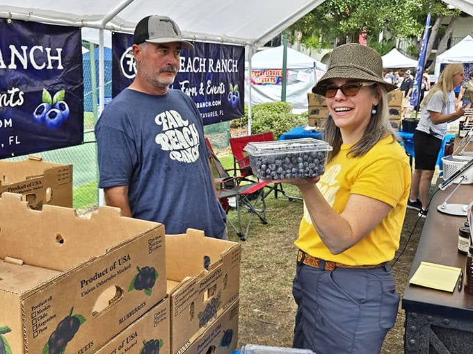 Fresh blueberries take center stage at Mount Dora's festival, where visitors can purchase berries directly from local farmers.