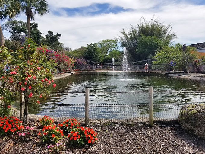 Natural spring-fed pools provide serene settings for observing Florida's diverse aquatic ecosystems.