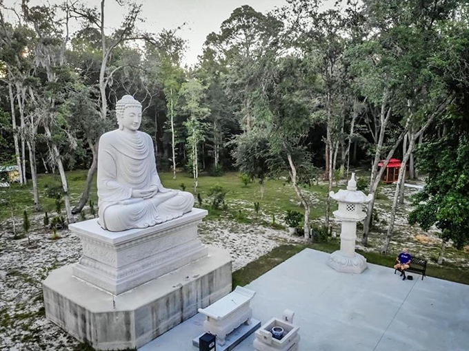An aerial perspective reveals how harmoniously the temple grounds integrate with the surrounding Florida woodland, creating a natural sanctuary.