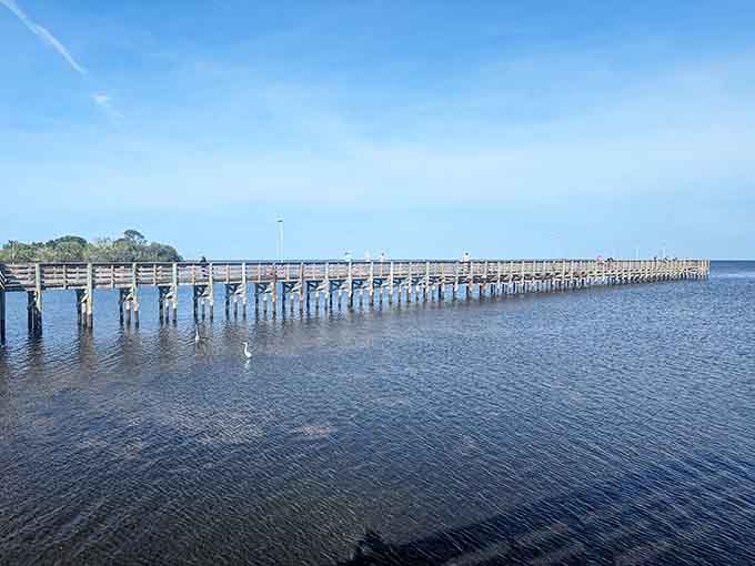 This pier stretches so far into the river, you half expect it to reach another county or at least some really good fishing spots.