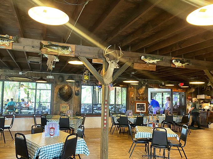 Taxidermy meets dining as mounted wildlife watches over tables, creating conversation starters better than any smartphone app.