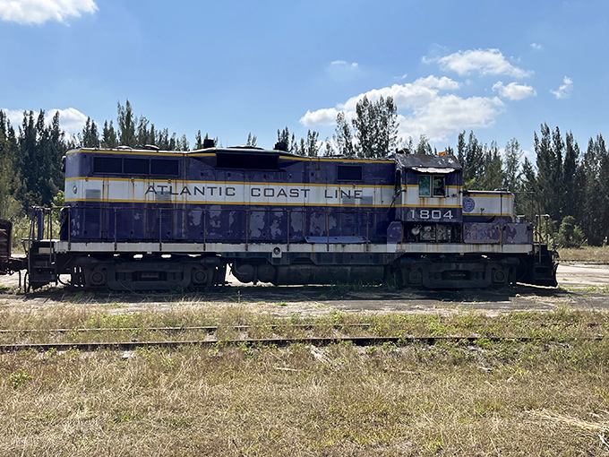 The Atlantic Coast Line's blue and yellow workhorse once hauled freight and passengers across the Southeast, its diesel power replacing the steam giants of earlier eras.