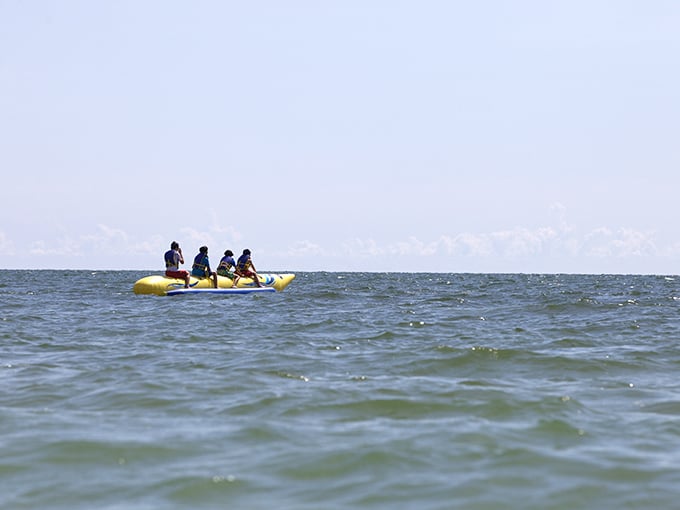 Banana boat riders bounce across emerald waters, their shrieks of delight becoming part of Captiva's soundtrack of joy and adventure.