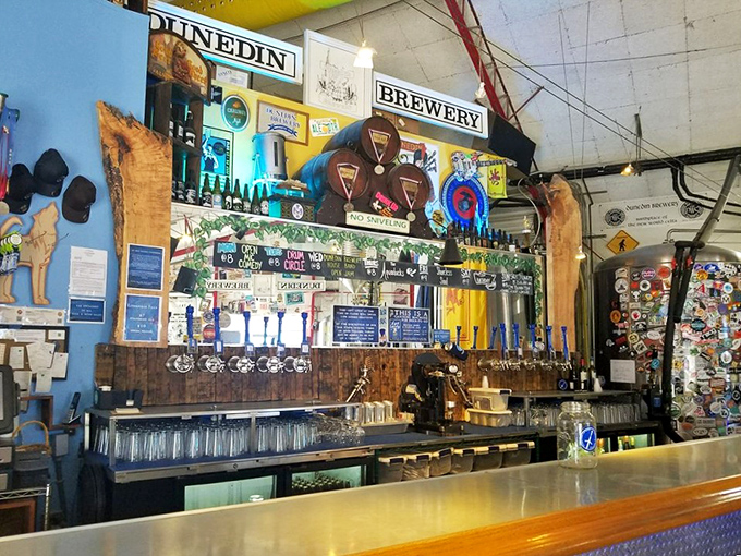 Tap handles standing at attention like soldiers of satisfaction, each representing a different house-brewed creation waiting to fill your glass.
