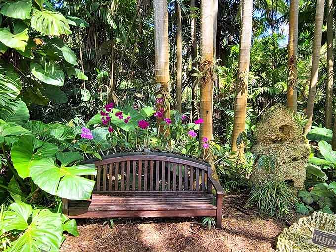 A peaceful bench offers the perfect spot for contemplation, people-watching, or pretending to contemplate while actually just napping.