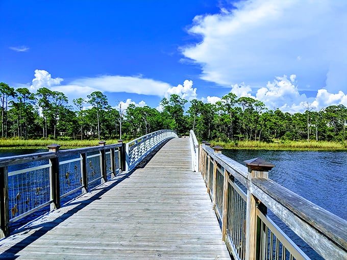 This wooden boardwalk stretches across coastal wetlands, offering nature lovers a front-row seat to Florida's remarkable ecosystem diversity.