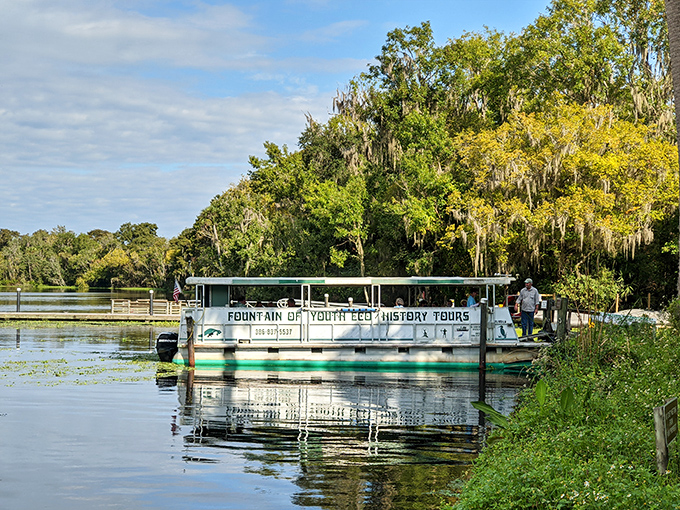 All aboard the time machine! The Fountain of Youth eco-tour boat offers history lessons with a side of wildlife spotting.
