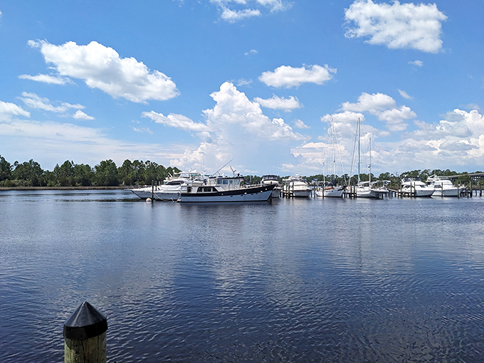 The marina showcases a flotilla of vessels from working shrimpers to pleasure craft, all sharing the same pristine waters.