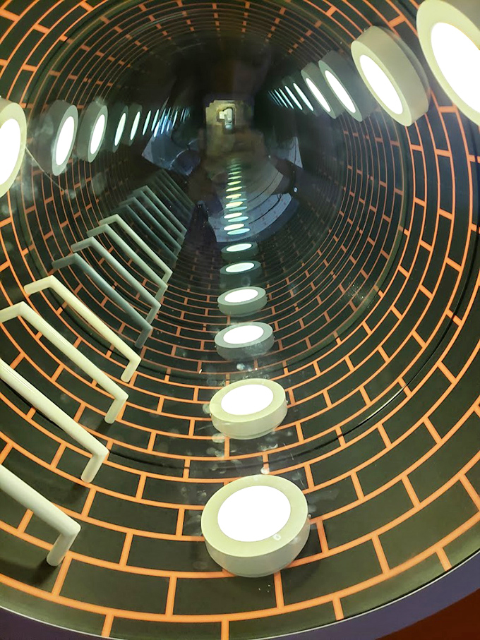 Peer into what appears to be an endless abyss &ndash; the Bottomless Pit illusion triggers vertigo without any actual danger.