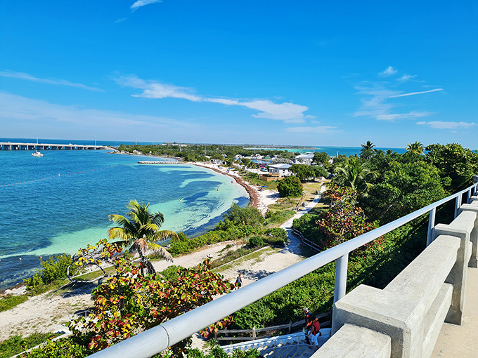 Calusa Beach's crystal waters create nature's perfect swimming pool, framed by swaying palms and endless blue skies.