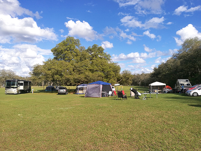 Happy campers create temporary homes under ancient oaks, where nights are filled with stargazing and mornings begin with birdsong alarm clocks.