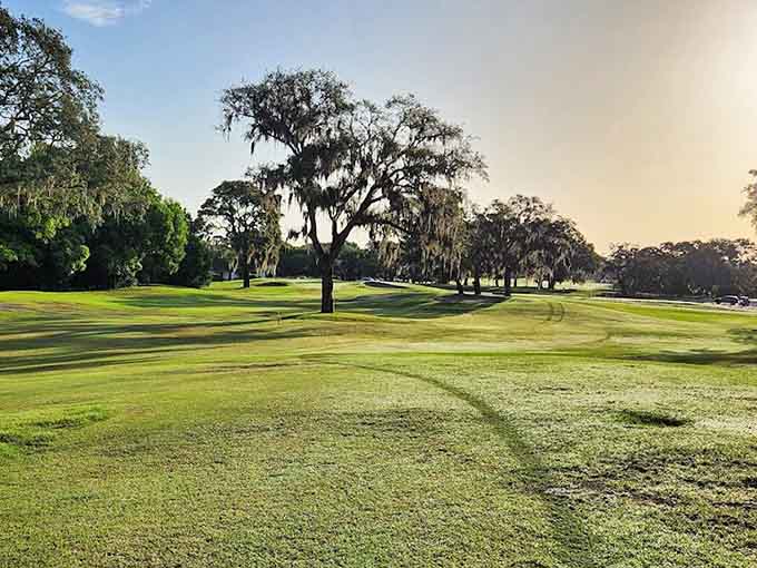 Golden hour golf hits different when you're surrounded by ancient oaks and Spanish moss, turning an ordinary round into something almost magical.