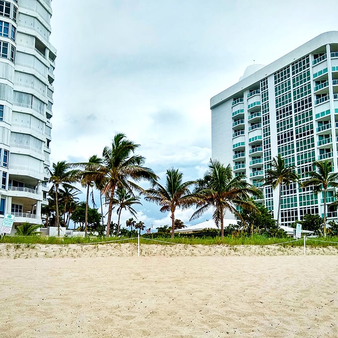 Palm trees stand sentinel between modern accommodations and ancient ocean, nature's own version of high-rise living.