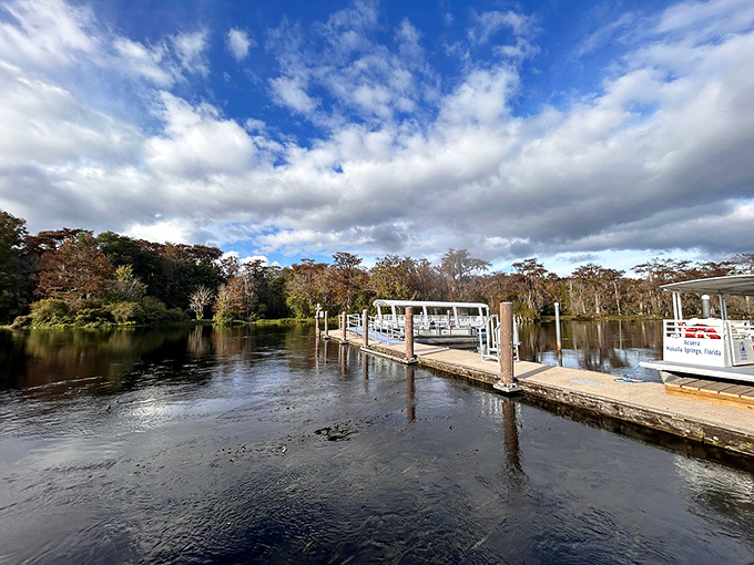 Mother Nature's marina &ndash; where boats wait patiently to ferry visitors into a world where wildlife, not humans, makes the rules.