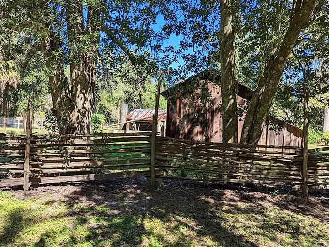 Split-rail fences built when "handcrafted" wasn't a marketing term but the only option available.