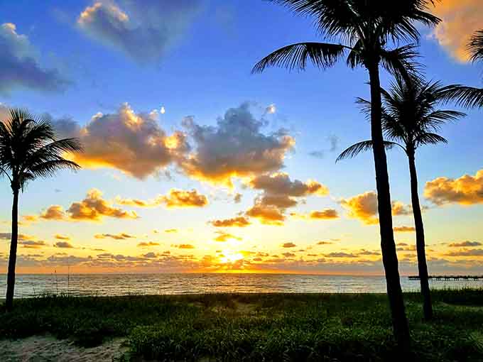 Sunset paints the sky in colors that would look fake in a photograph, yet here it is, happening live and free every single evening.