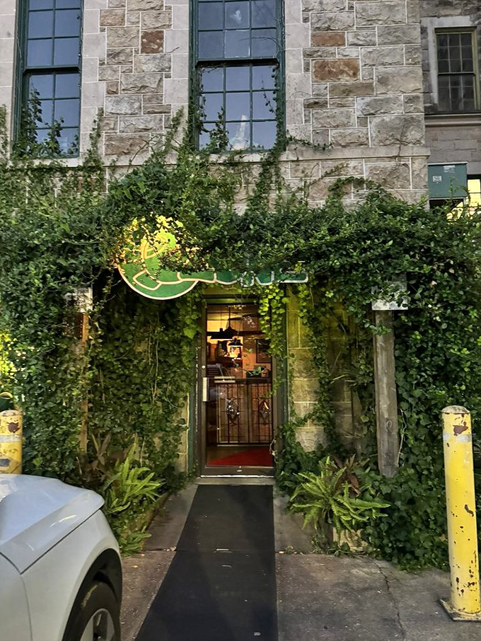 Vines embrace the entrance like nature reclaiming history, creating a magical portal to pizza paradise.