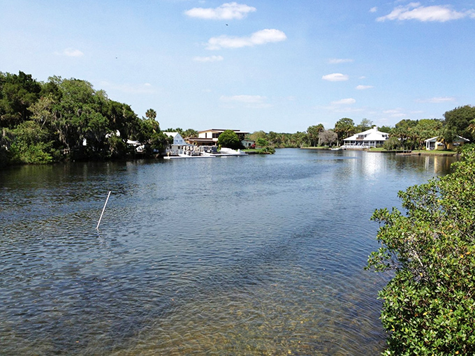 Hammock Creek's waters invite exploration, promising encounters with ospreys, herons, and the occasional curious manatee.
