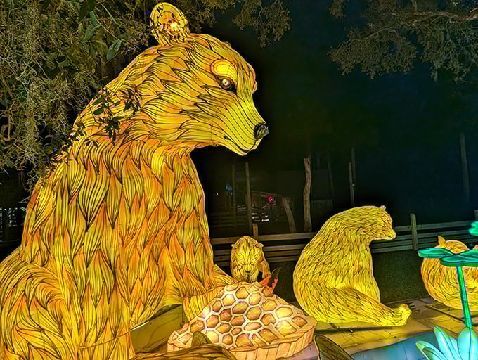 Illuminated wildlife: These glowing bear sculptures transform the nighttime zoo experience into a magical wonderland during special evening events.
