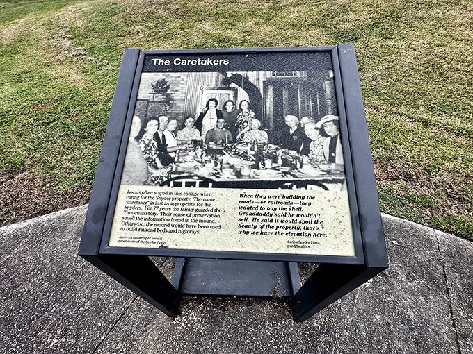Interpretive signs throughout the property reveal layers of history, from ancient Timucua settlements to pioneer homesteads.