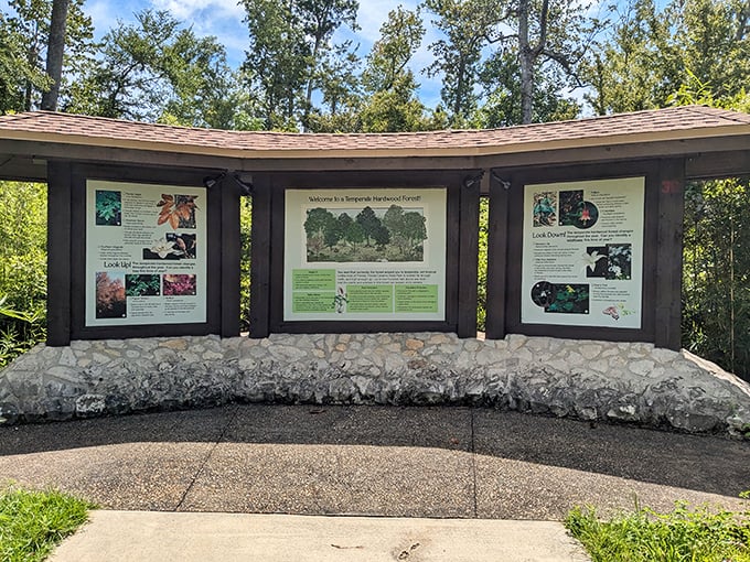 Informational displays tell the park's story, where ancient seas once covered land that would become Florida's hidden gem.