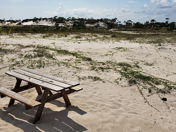 Picnic table: The original outdoor dining experience – no reservations needed, though seagulls may request your leftovers with surprising persistence.