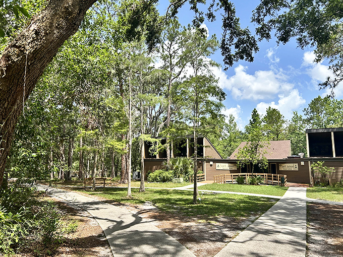 Knowledge headquarters – the nature center serves as both classroom and gateway to understanding Lettuce Lake's delicate ecosystem.