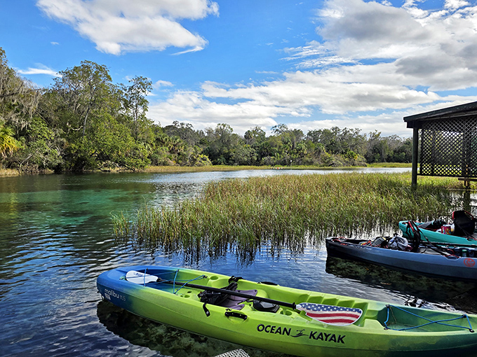Kayaking Rainbow Springs: for when floating isn't quite adventurous enough but you still want that crystal-clear water experience.