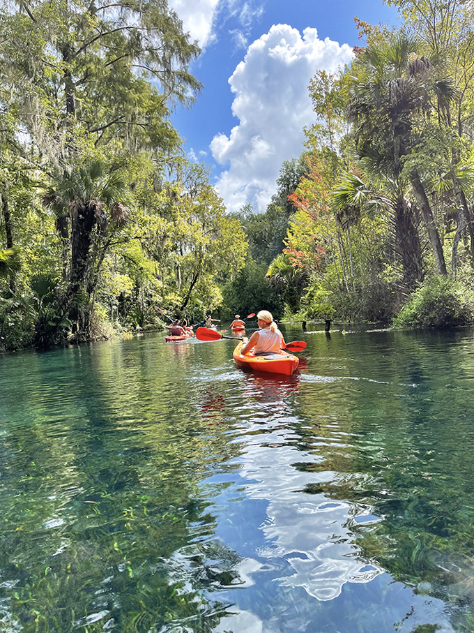 Paddle through waters so transparent you'll swear you're floating on air rather than Florida's hidden blue springs.