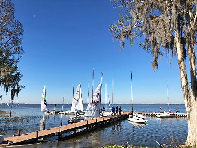 Lake Eustis Sailing Club transforms the water into a ballet of white sails, where weekend captains navigate gentle breezes.