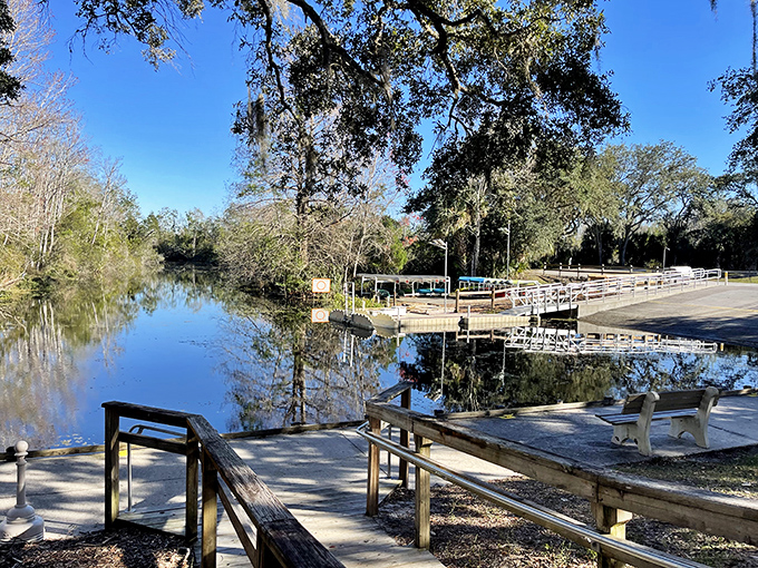 Lake Griffin's mirror-like waters reflect both sky and soul, offering kayakers and anglers a slice of natural Florida paradise.