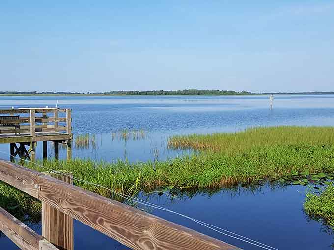 The lake stretches toward the horizon like it's trying to merge with the sky, creating that perfect Florida vista where water and clouds become indistinguishable.