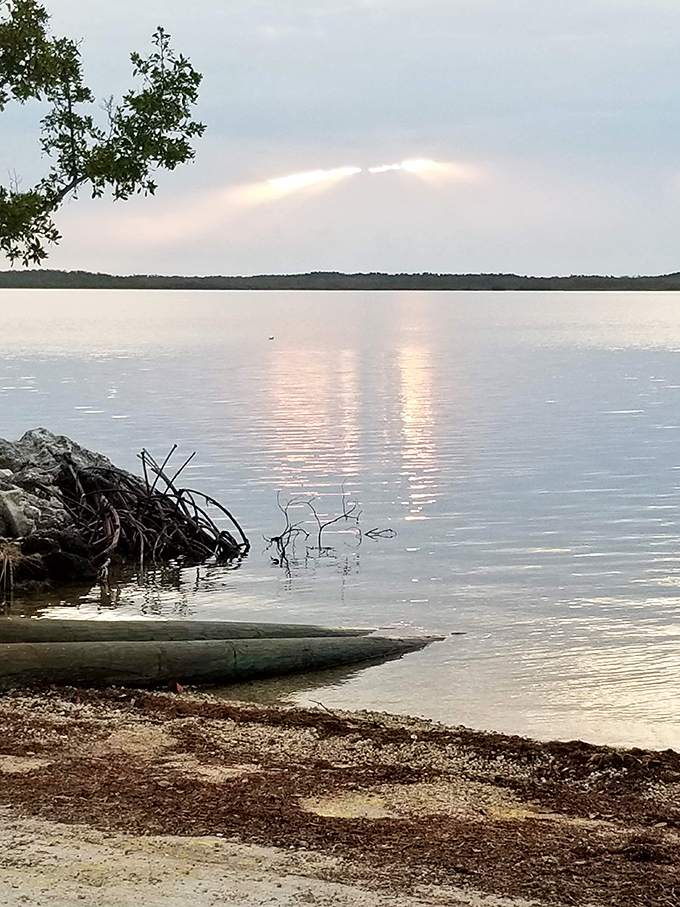 The serene lagoon setting provides perfect conditions for the underwater habitat, with calm waters ideal for diving activities.