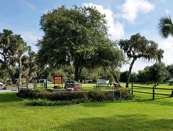 Liberty Park: Where families create memories against a backdrop of Spanish moss and cypress trees.