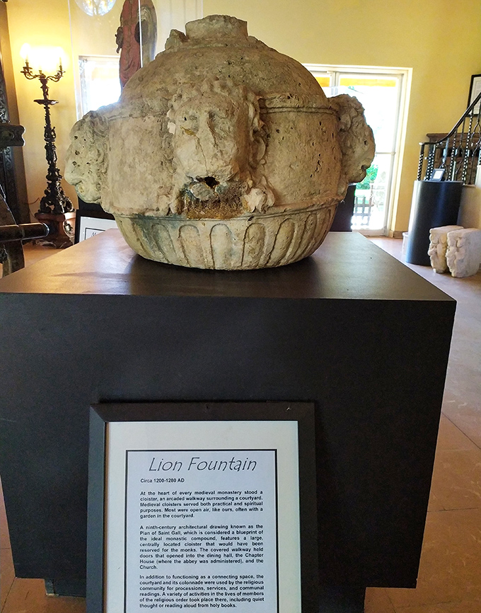 Water once flowed from this stone beast's mouth, serving practical needs while demonstrating medieval flair for functional art.