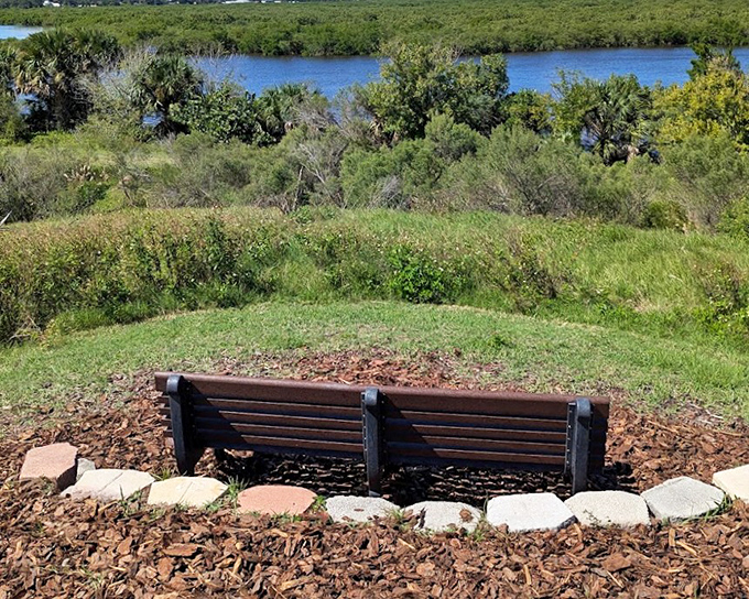 This peaceful bench overlooking the intracoastal waterway offers nature lovers a front-row seat to Florida's diverse ecosystem.
