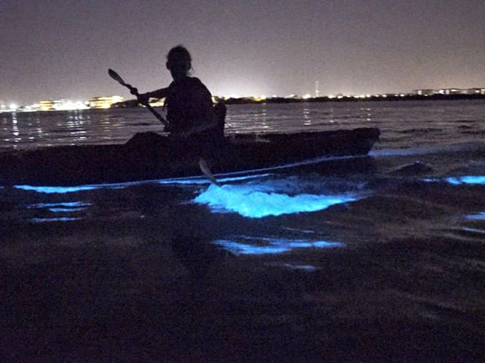 Gliding through glowing water at night feels like starring in your own nature documentary, minus the camera crew.