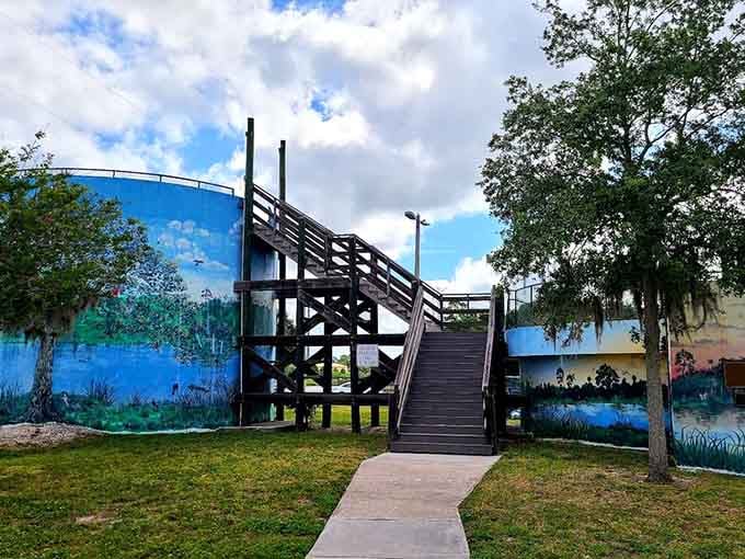 The observation platform gives you an elevated perspective on the preserve, proving that sometimes the best views require a few extra steps to reach them.