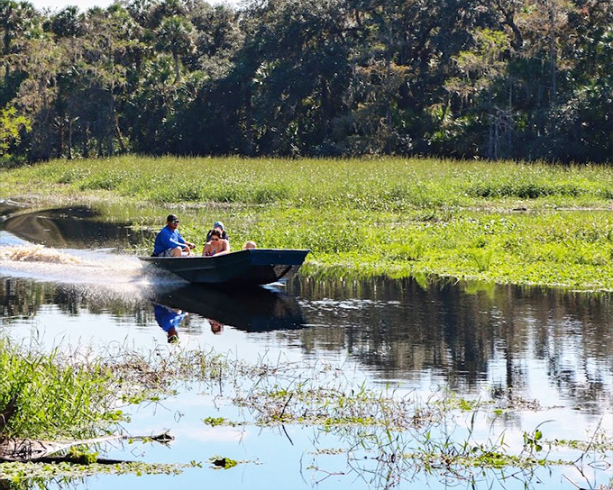 Speed meets serenity &ndash; skimming across waters where alligators rule below and ospreys patrol above.