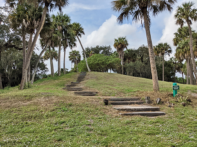 History rises from the landscape as palm trees guard ancient steps to Florida's storied past.