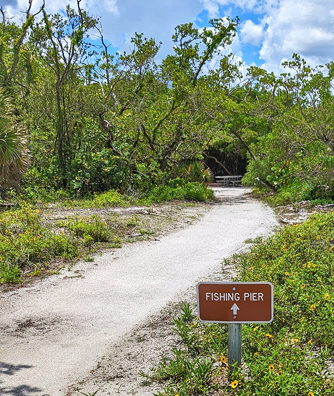 Shell-strewn trail leading adventurous anglers to spots where fish tales are born and occasionally even proven true.