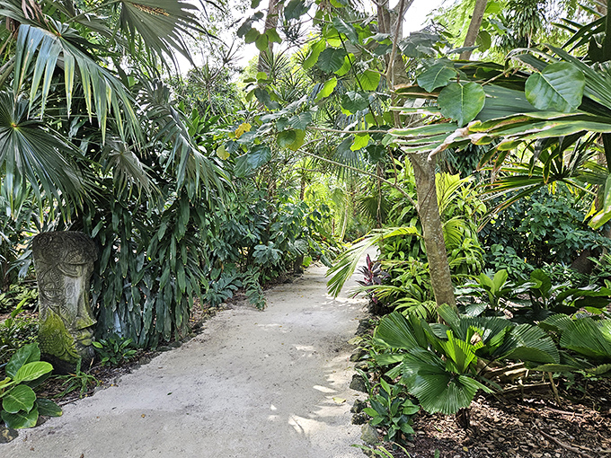 Sunlight plays hide-and-seek along this vine-covered pergola, creating a dappled pathway that feels like walking through living lace.