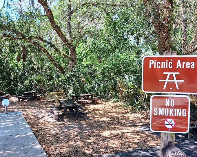 Picnic tables nestled under natural canopies offer the best lunch spot in town &ndash; where squirrels might judge your sandwich choices.