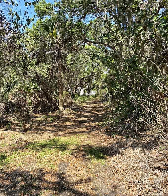 Natural trails tunnel through vegetation, creating passages that feel like secret corridors into Florida's wild heart.