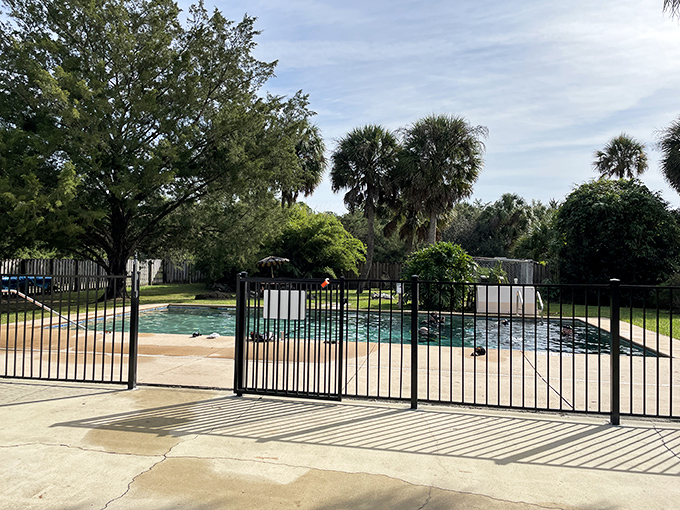 The swimming pool offers refreshing above-ground relief when you need a break from communing with prehistoric underwater spirits.