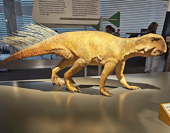 This Psittacosaurus model shows the latest scientific understanding &ndash; complete with bristles and stripes that would have surprised early paleontologists.
