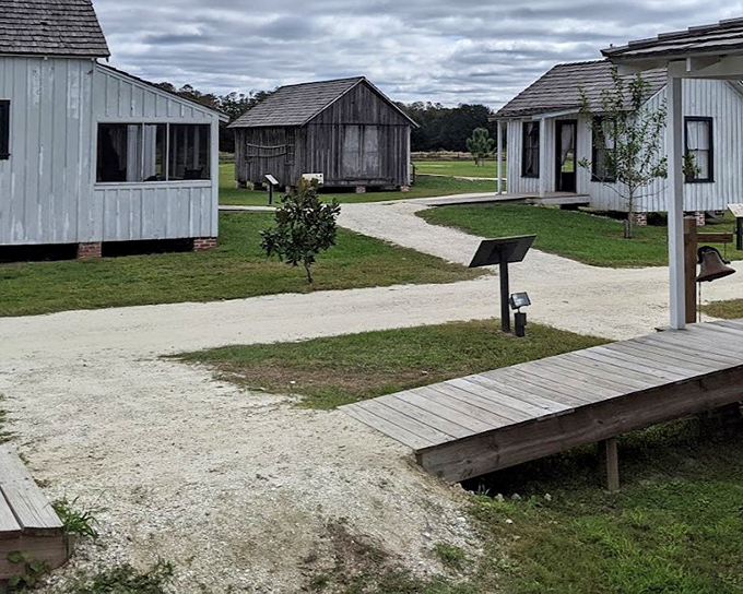 Simple wooden homes housed entire family sagas – births, deaths, celebrations, and sorrows – all within these modest walls.