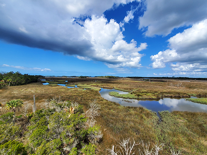 Coastal tapestry: Marshlands and waterways create nature's patchwork quilt, visible from the preserve's highest vantage points.