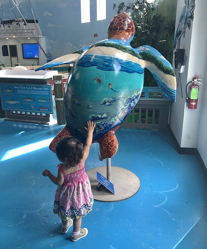 "Shell we learn about sea turtles?" This colorful marine life exhibit teaches conservation through engaging visual displays.